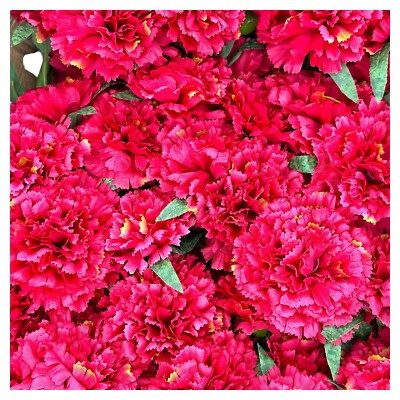 Bulck pack of 36 Red Carnation Spray silk flowers (£0.97 each ...