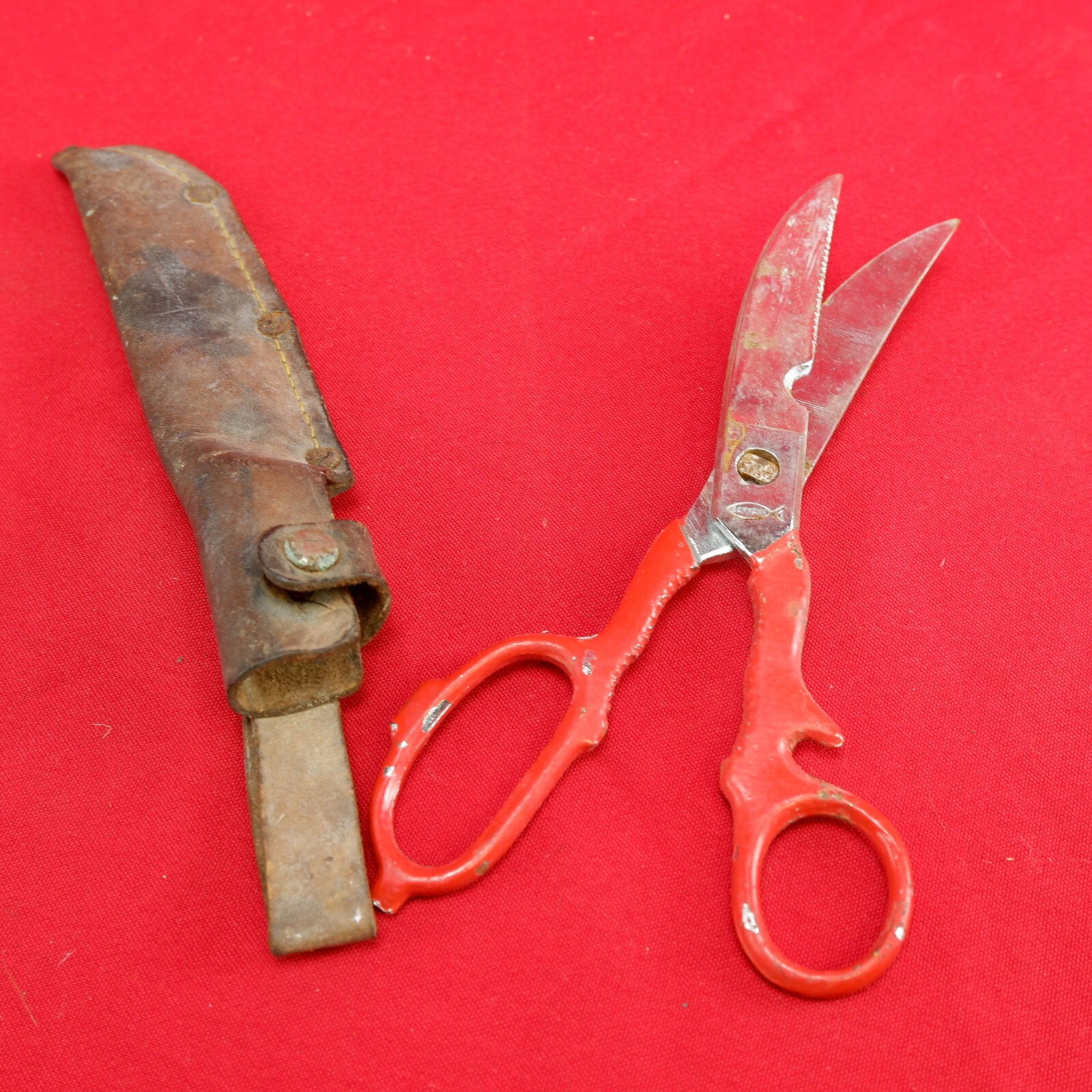Lobster Shears