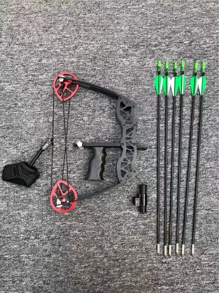 Compound Bow And Arrows
