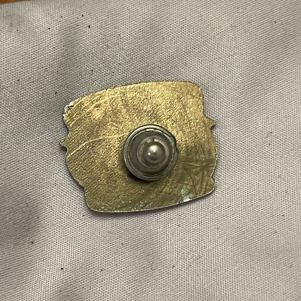 Vintage COLORADO NATIVE Lapel Pin Pinback | eBay