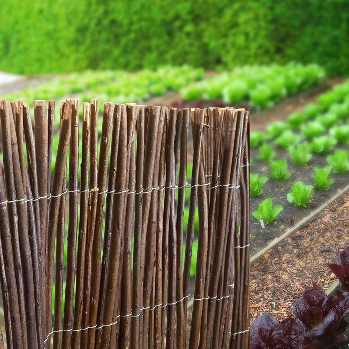 Fern Reed Screen Fencing Roll Fence 1.8M(H) x 3m(W) Fernwood Privacy ...