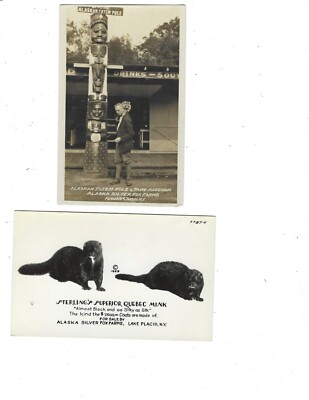 (2) Real Photo Postcard RPPC - Alaska Silver Fox Farms Ausable Lake ...