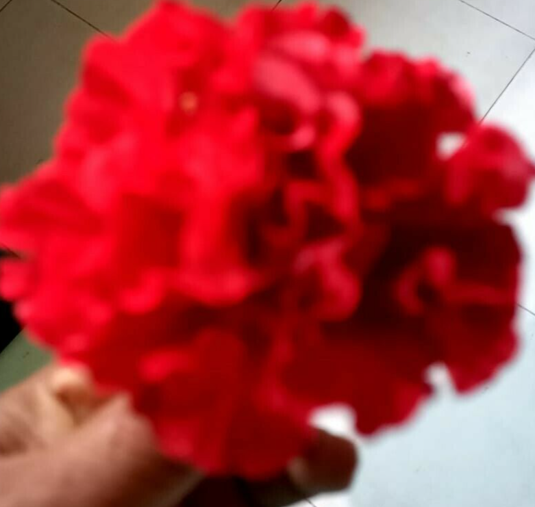 100g CEYLON DRIED HIBISCUS WHOLE FLOWER POKURU WADA PREMIUM ROSE TEA ...