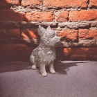 Yorkshire Terrier Dog Scale Model Miniature Unpainted 3D Print ...