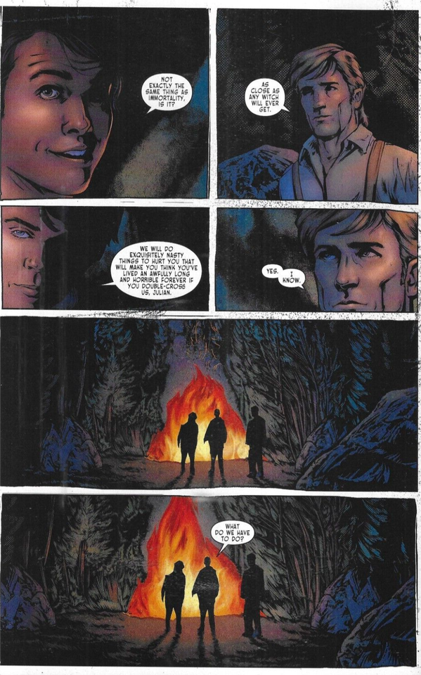 Vampire Diaries Comic 1 First Print Cover A Tony Shasteen 2014 Colleen ...