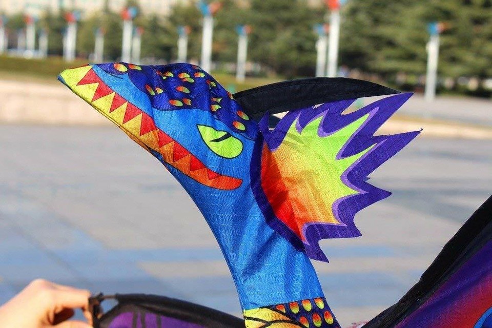 Huge 3D Dragon Kite Single Line With Tail Family Outdoor Sports Toy ...