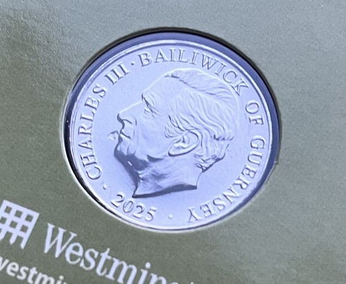 2025 Bottlenose Dolphin 10p Coin MINT ERROR UNC Wildlife Bailiwick Of ...