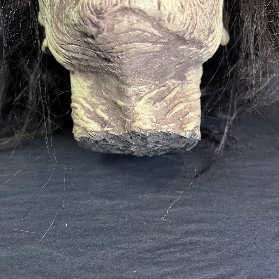 Disney Hocus Pocus Billy Butcherson Zombie Head Halloween Decoration ...