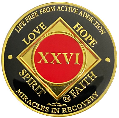 NA 26 Year Coin, Red, Gold Color Plated Narcotics Anonymous Recovery ...