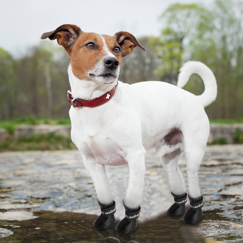 Rubber Dog Shoes Waterproof for Small Dogs Puppy Anti Slip Rain Boots ...