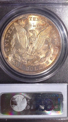 1921-D Denver Morgan Silver Dollar $1 PCGS MS64 (457) Deep heavy ...