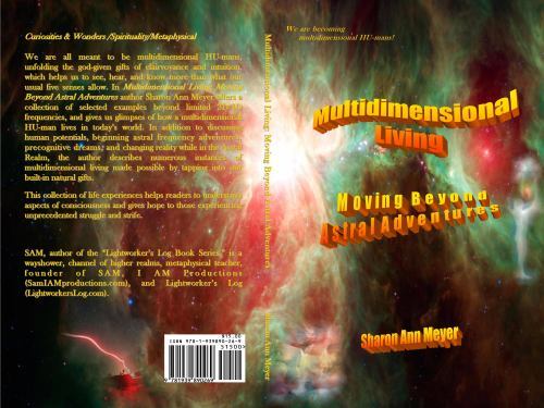 Multidimensional Living : Moving Beyond Astral Adventures by Sharon Ann Meyer (2021, Trade ...