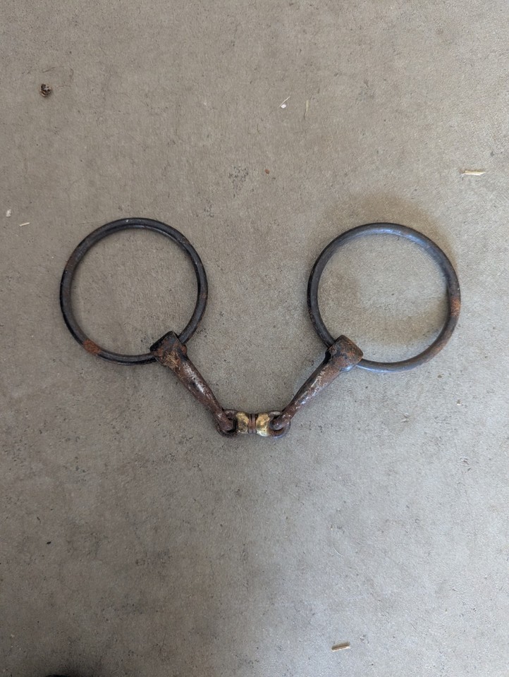 Dutton Style Snaffle Bit and Martin Leather Tie Down and Strap Horse Tack | eBay