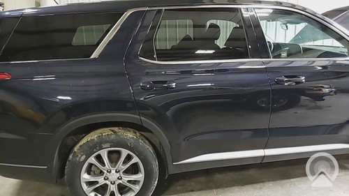 2020-2024 Hyundai Palisade RH Passenger Rear Door Assembly Moonlight ...