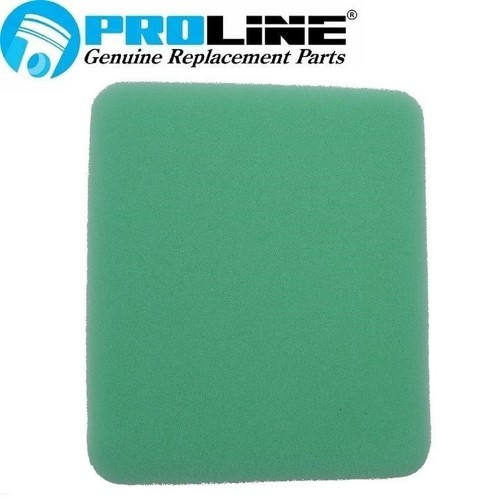 Proline® Pre Filter For Briggs & Stratton 491435S | eBay