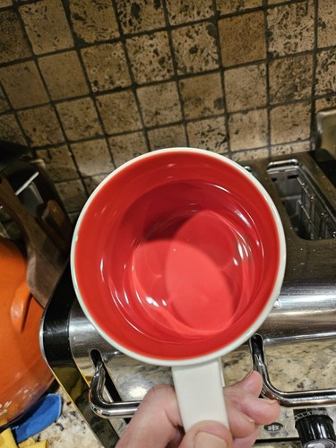 2022 Starbucks Fresno State Bulldogs Mug Been There Series Campus ...