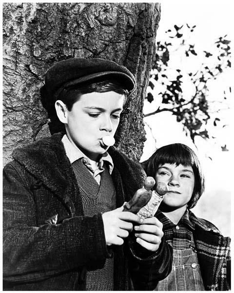 Jem And Scout Today Child/teen Actor Phillip Alford Turns 67 Years Old