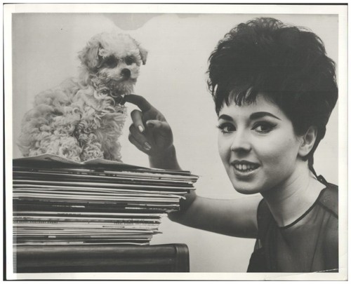 C652/ Susan Maughan UK-Singer Pressefoto 25,5 x 20,5 cm ca. 1968 | eBay