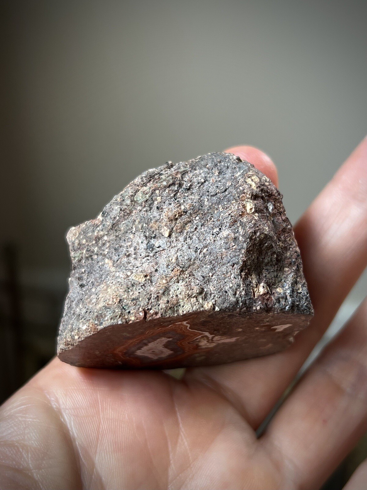 99g Poland Agate Fortification Agate Thunderegg Agate | eBay