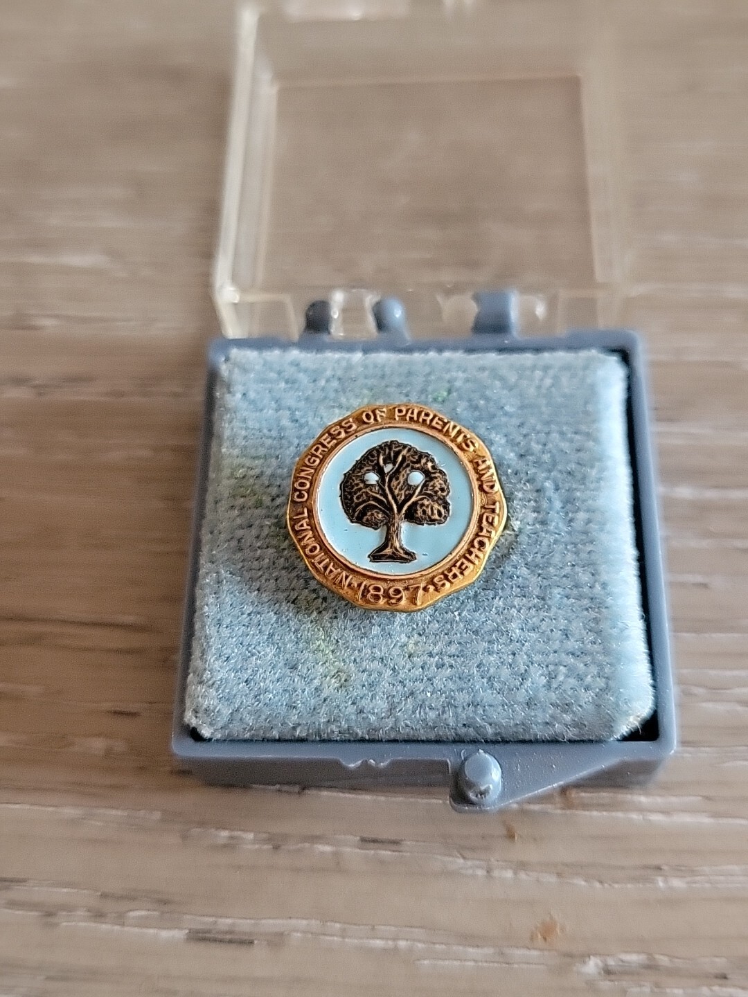 National Congress Of Parents And Teachers PTA 10K Yellow Gold Pin LGB ...