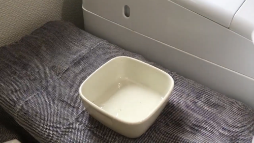 Black Paint 120g Face wash containing human lactic acid bacteria | eBay ...