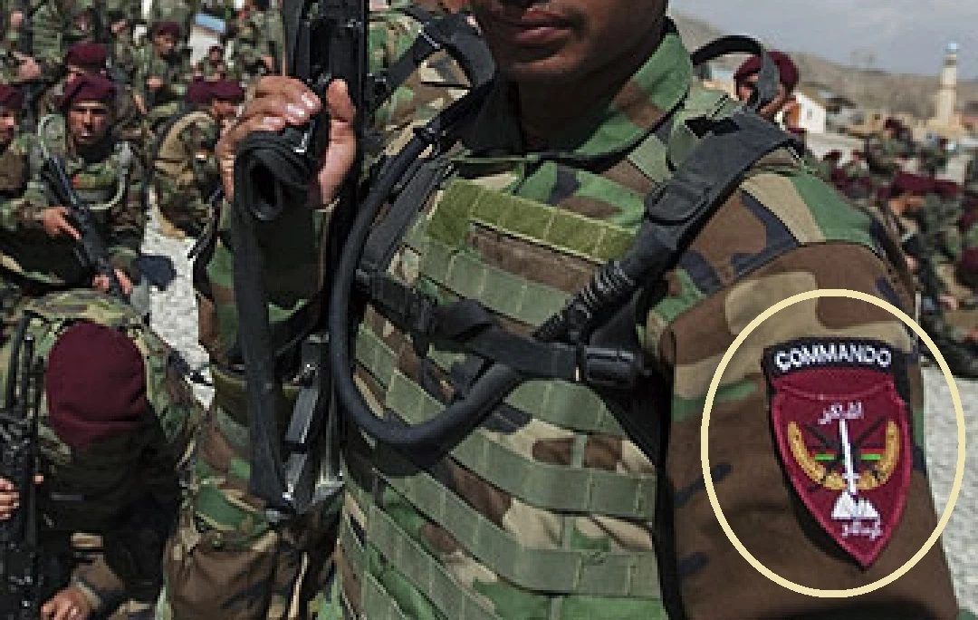 Afghan National Army Logo