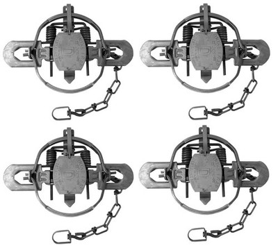 Duke #2 OS Coilspring Coil Spring Offset Traps Trapping Supplies 4 ...