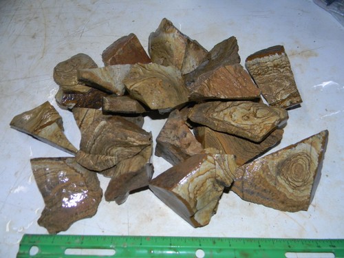 5.35 lbs African Queen Picture Jasper Rough #6 | eBay