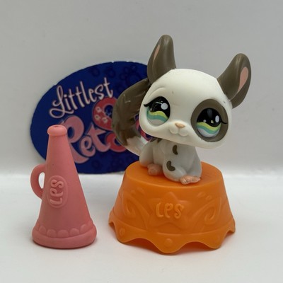 CHINCHILLA #1018 W/ Accessories - Littlest Pet Shop - Hasbro LPS | eBay