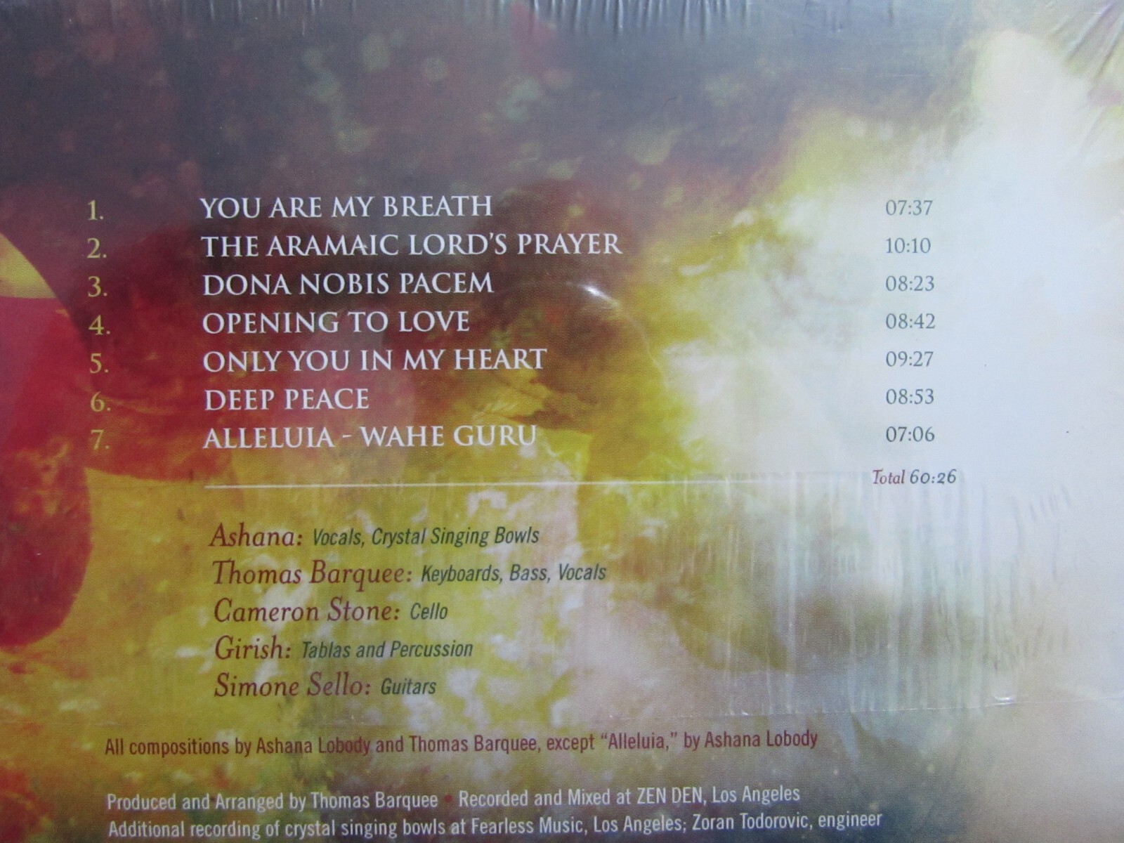 Beloved by Ashana (CD, 2008, Spirit Voyage Music) for sale online | eBay