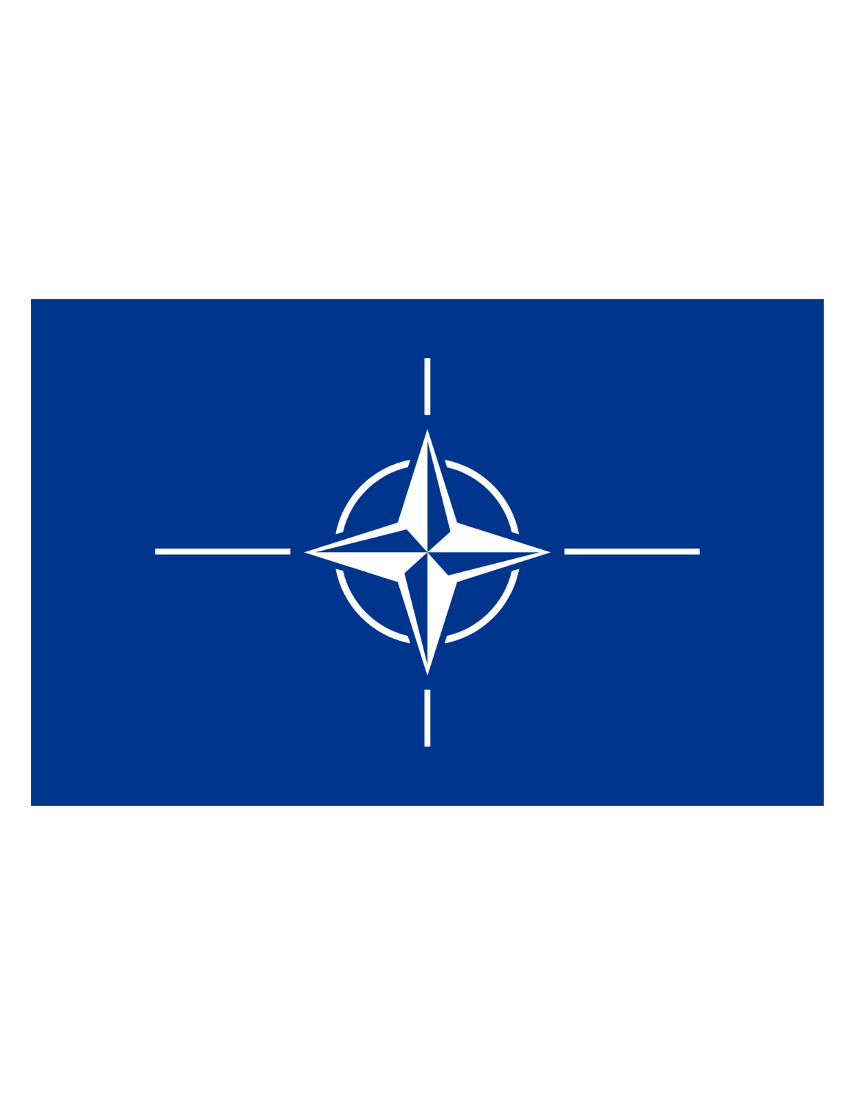 Riesiger XXXL 30X30 cm Autoaufkleber Sticker Fahne NATO Flagge ...