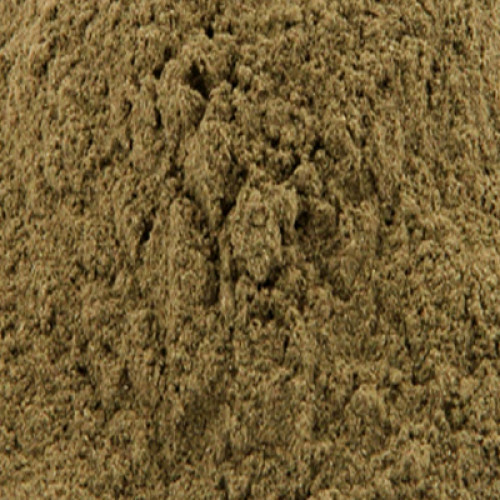 Khorasan thorn ,Fagonia cretica ,Dhamaaso, Virgin's Mantle , Dhamasa ...