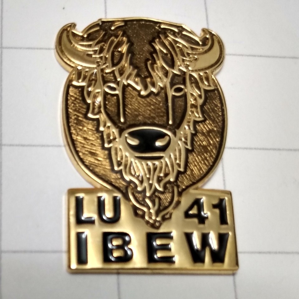 IBEW Lapel Pin Local 41 - Buffalo, NY - Free Shipping | eBay