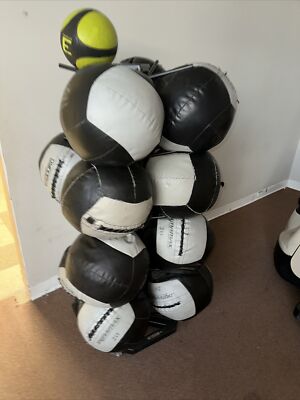 Lot Of 14 Dynamax Fitness Medicine Balls And Rack | eBay