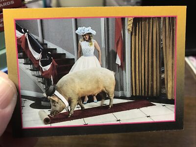 THE BEVERLY HILLBILLIES T.V. SHOW ~ TRADING CARD # 17 | eBay