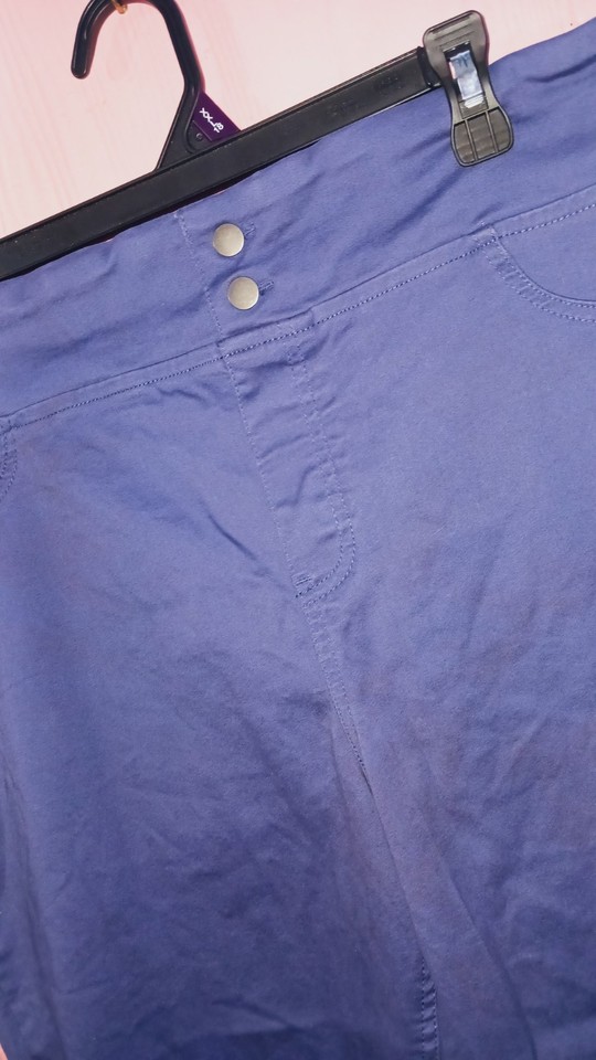 Terra & Sky Pull On Jegging Pants Blue Plus Size 1X (16W-18W)Stretch ...