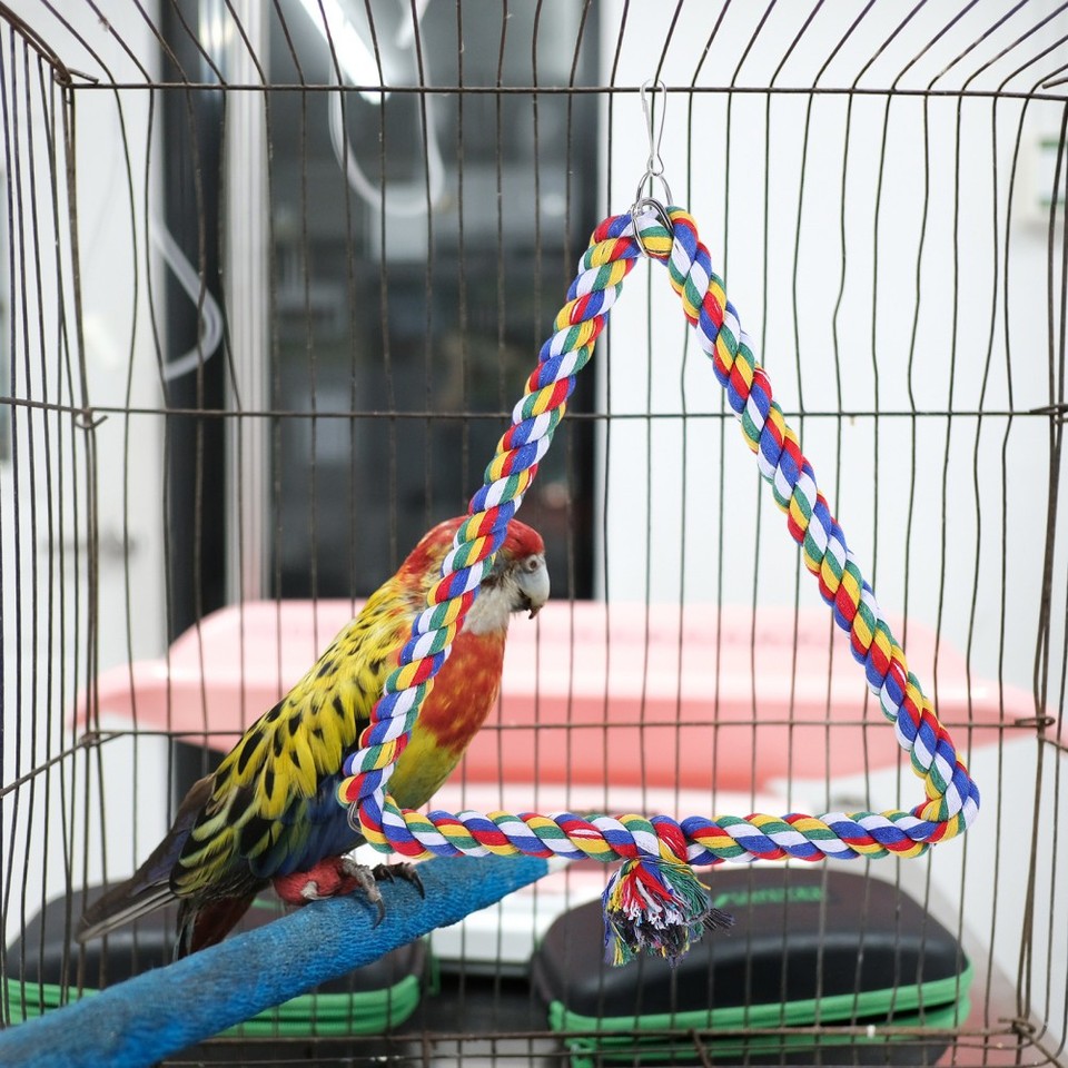 3pcs Colorful Cotton Rope Triangle Swing Bird Toy Climbing Ladder for ...