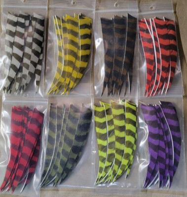 Trueflight 5 1/2" Shield Cut RW Feathers - 1 Dozen Barred | eBay