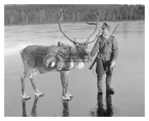 FINISH WW2 SOLDIER WITH HIS REINDEER ON ICE NEAR LAPLAND FINLAND WWII ...