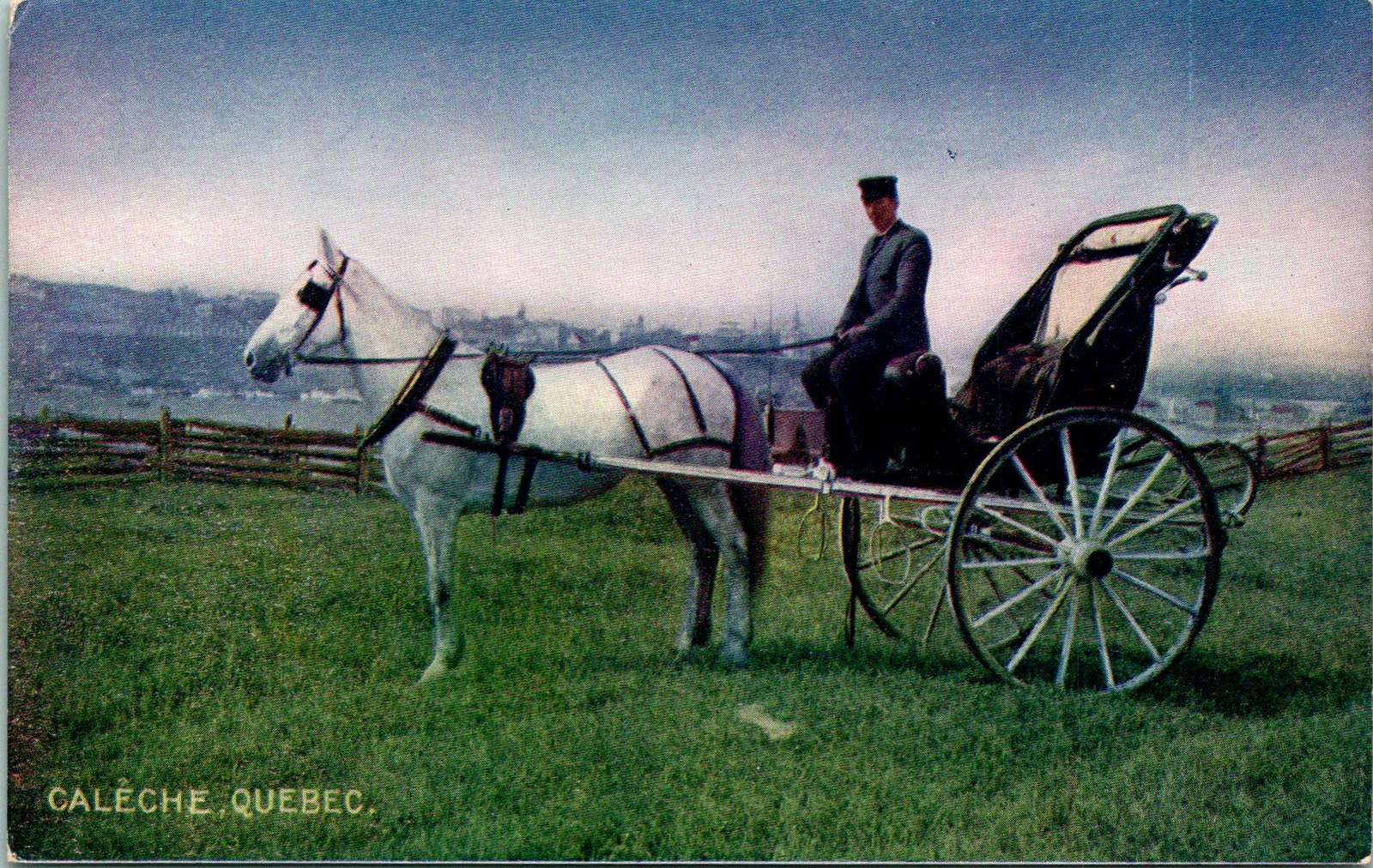 Quebec Canada Caleche Horse Carriage Postcard Unused (23661) | eBay