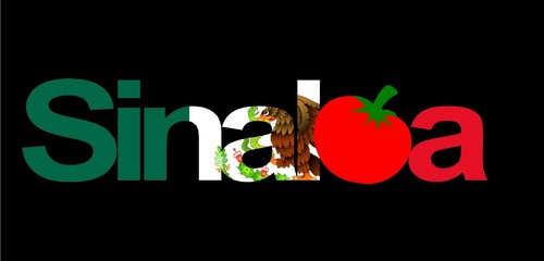 sinaloa Sticker | eBay