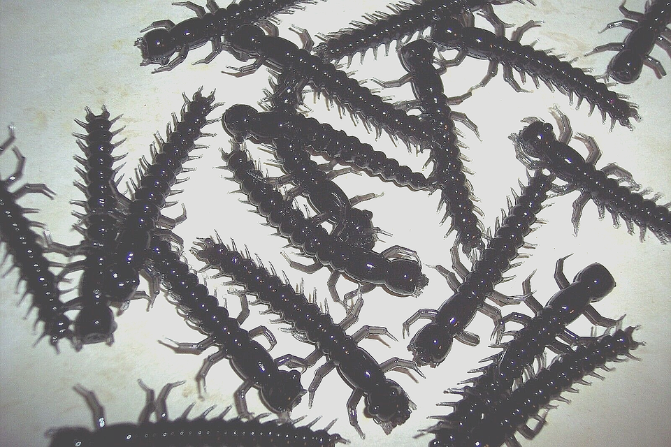 2" Hellgrammite Lure Insect Larva Trout Fishing Lure Crappie Bass Lure ...