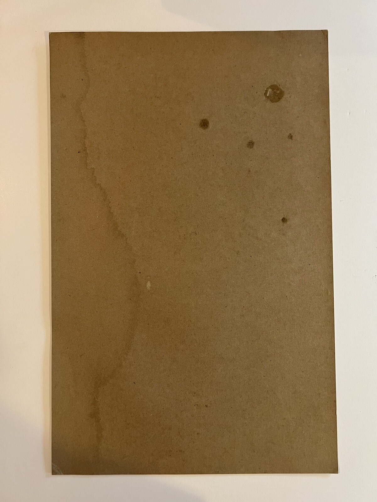 Led Zeppelin Concert Poster • The Rose Palace 5/2,3/1969 RARE ORIGINAL ...