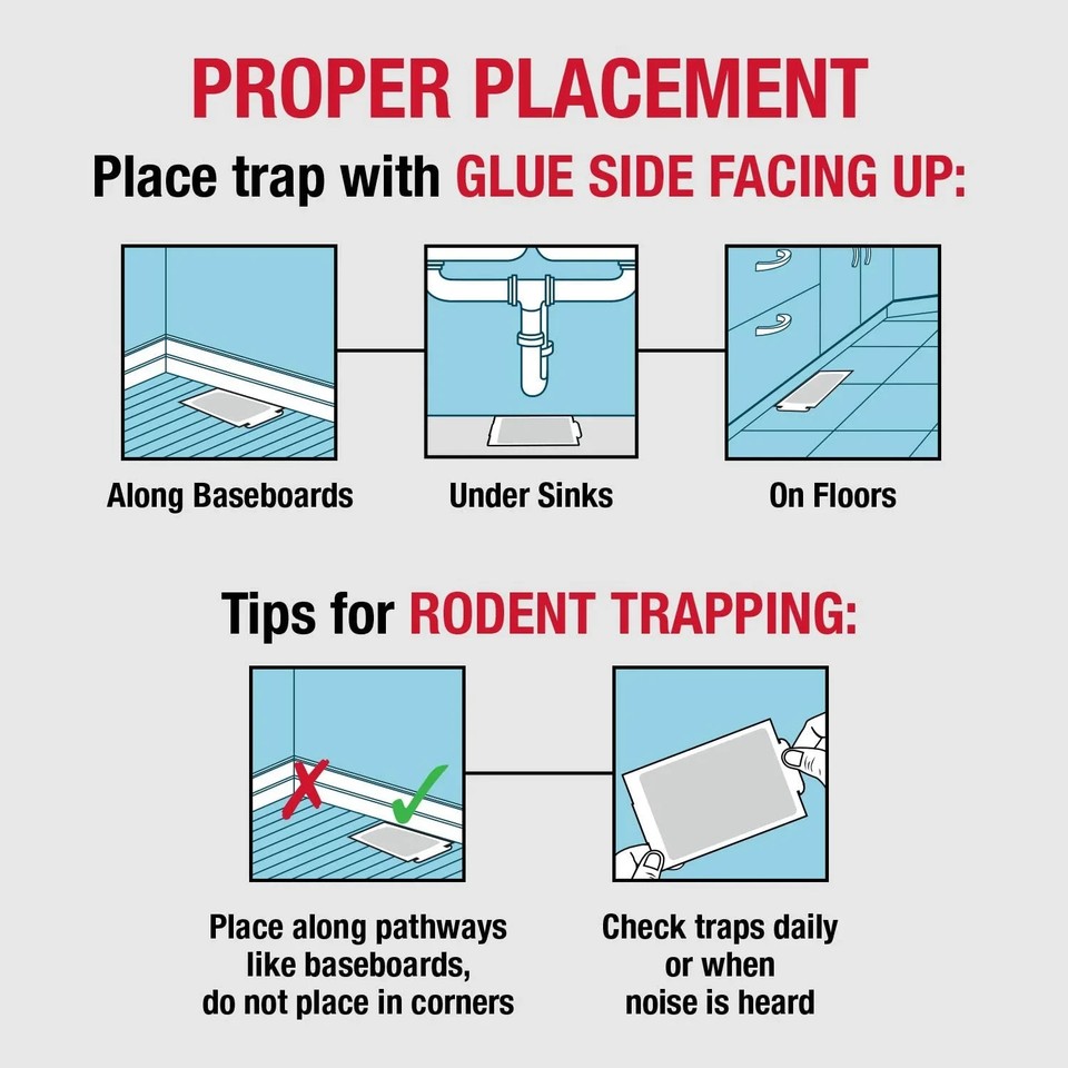 8x Catchmaster Gluee Louee Mouse Insect Glue Traps Boards. 10 Pack ...