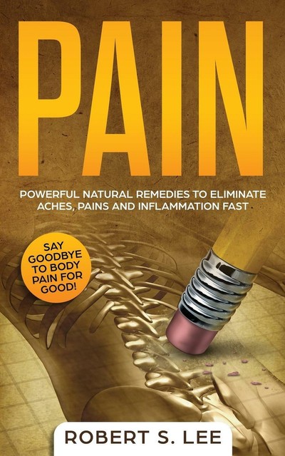 Pain von Robert S. Lee (2019, Taschenbuch) online kaufen | eBay.de