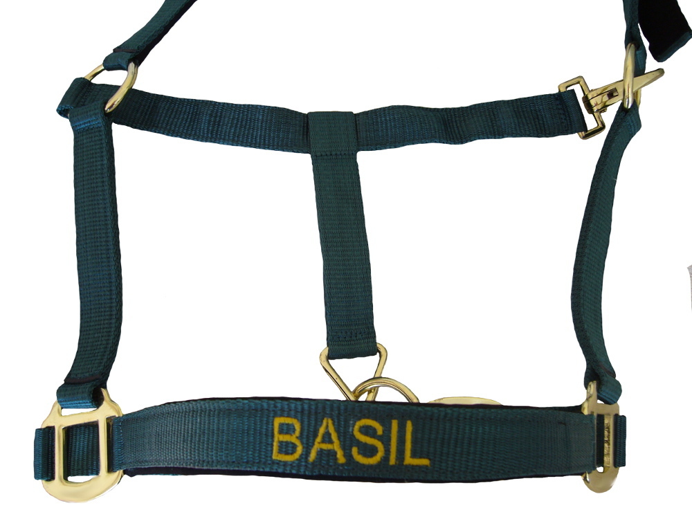 Bordado Personalizado Cabestro De Completo Talla | eBay