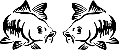 Decals Carp fish stickers use on Van, Car, fishing box x2 stickers left ...