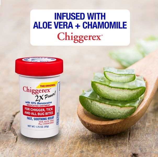 (2 Pack) Chiggerex 2x Medicated Ointment: Chiggers Mosquito Bug Bites ...