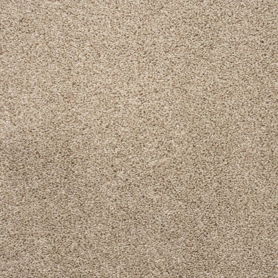 Beige Carpet Cheap Beige Carpets Loop Twist & Saxony Pile Beige Carpets ...