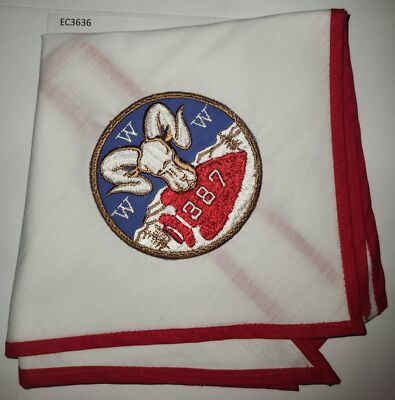 Boy Scout Neckerchief OA 387 Ha-Kin-Skay-A-Ki Lodge with R2 | eBay UK